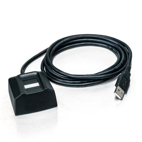 What Is Buddy Punching? and How to Avoid It